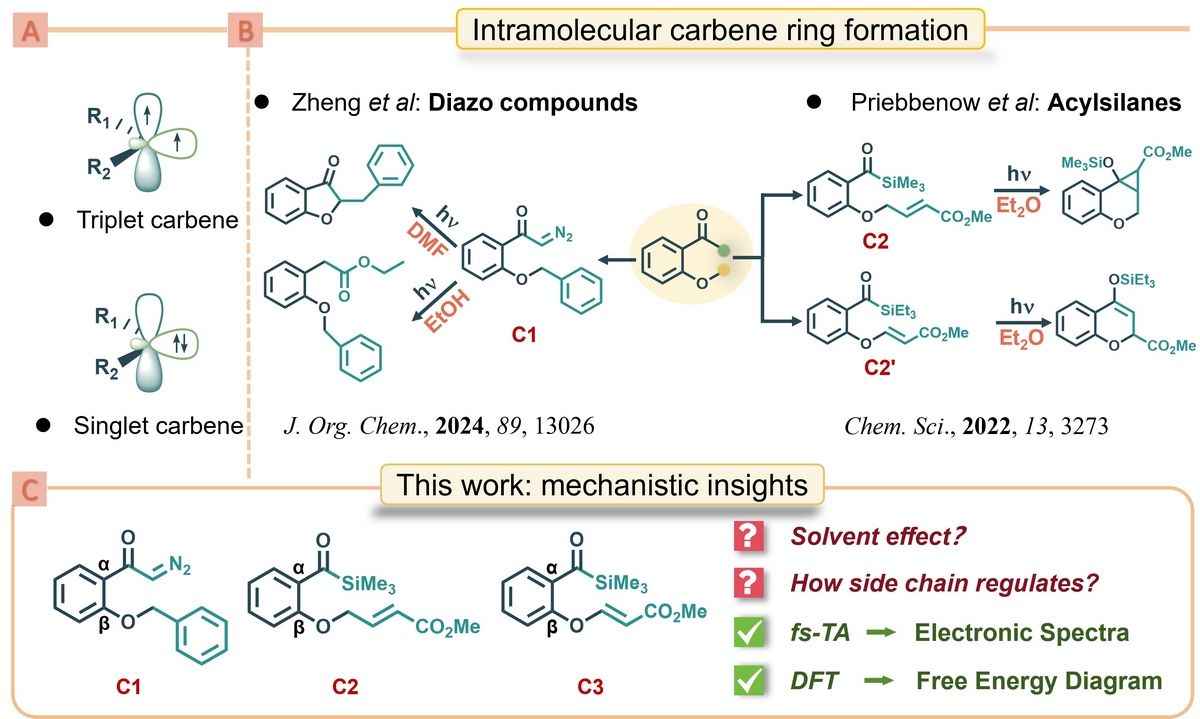 55. Deciphering Carbene Reactivity: Ultrafast Spectroscopy and ...