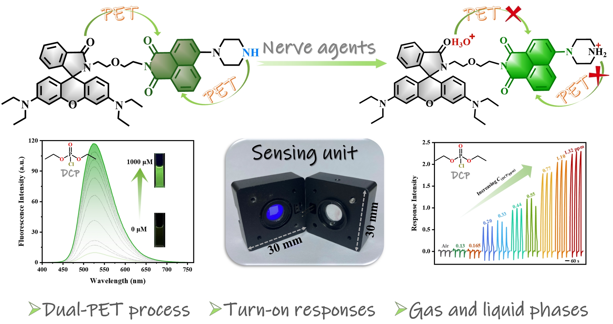 07. A Dual-chromophore Based Fluorescent Probe for Fast and Sensitive ...