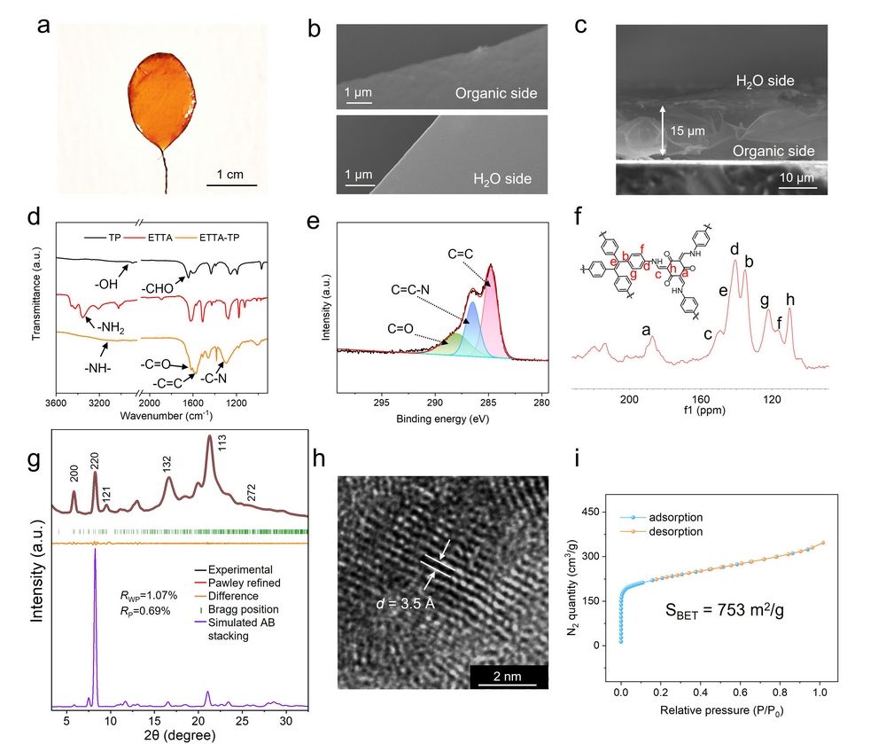 4+3 β-酮烯胺键COF膜用于构建高性能NO2薄膜荧光传感器-新概念传感器与分子材料研究院